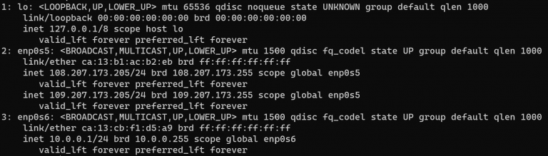 How to Configure Multiple Network Interfaces on Ubuntu 20.04