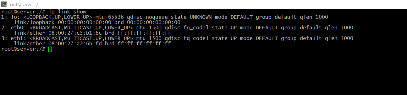 How To Configure Multiple Network Interfaces On Ubuntu 2004