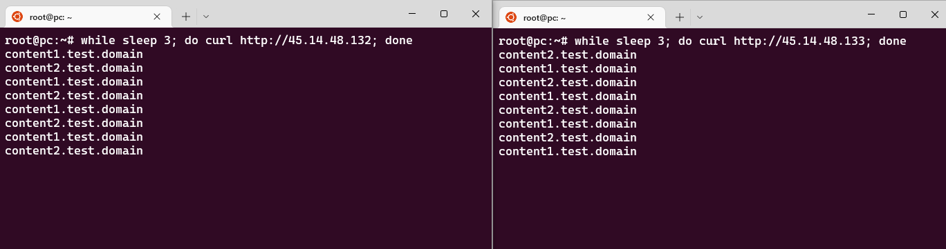 How to make your website disaster-proof with NGINX and Keepalived — Serverspace