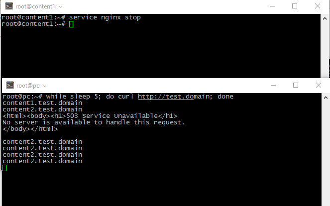 How to make your website disaster-proof with NGINX and Keepalived — Serverspace