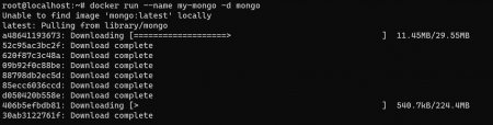 MongoDB Docker. Cómo instalar y configurar MongoDB en Docker?