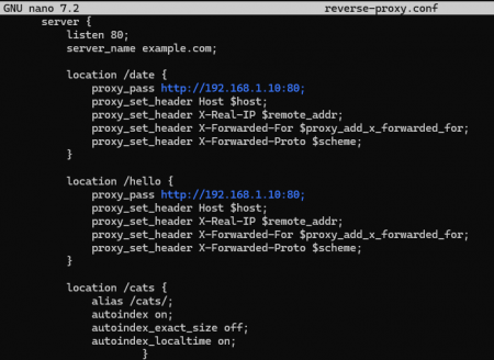 Cómo implementar y configurar un servidor proxy inverso: Nginx, Apache, HAProxy, Traefik