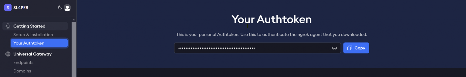 Ngrok Installation Guide: How to Set Up Tunnels and Traffic Policies
