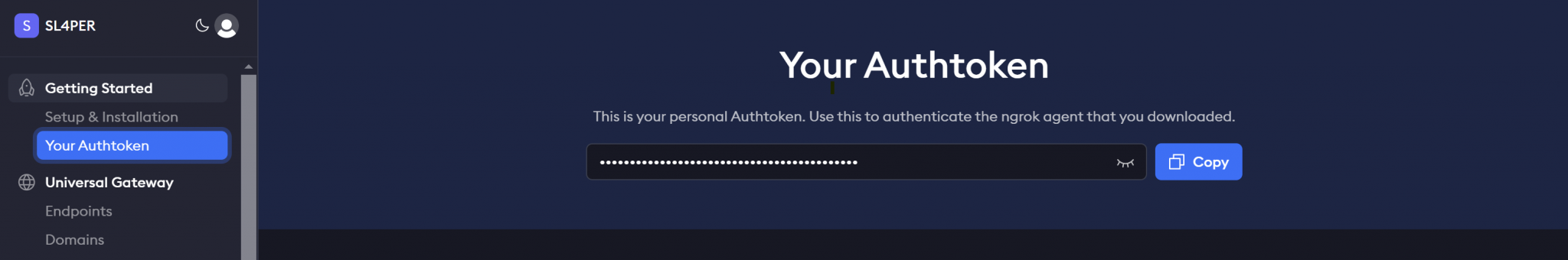 Ngrok Installation Guide: How to Set Up Tunnels and Traffic Policies