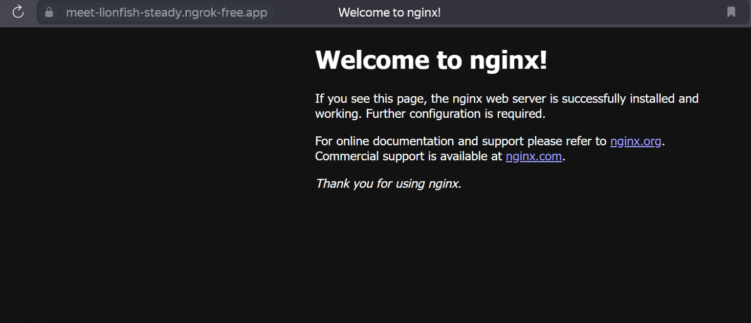 Guide d'installation de Ngrok : comment configurer les tunnels et les politiques de trafic