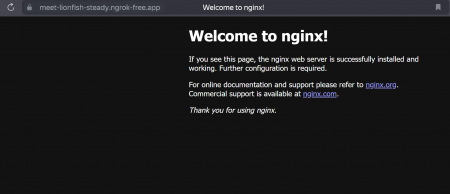 Ngrok Installation Guide: How to Set Up Tunnels and Traffic Policies