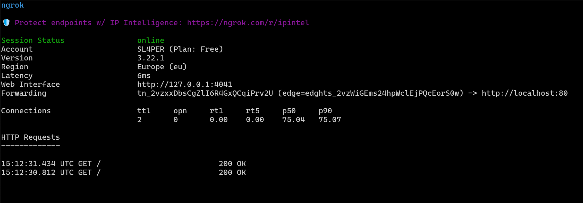 Guide d'installation de Ngrok : comment configurer les tunnels et les politiques de trafic